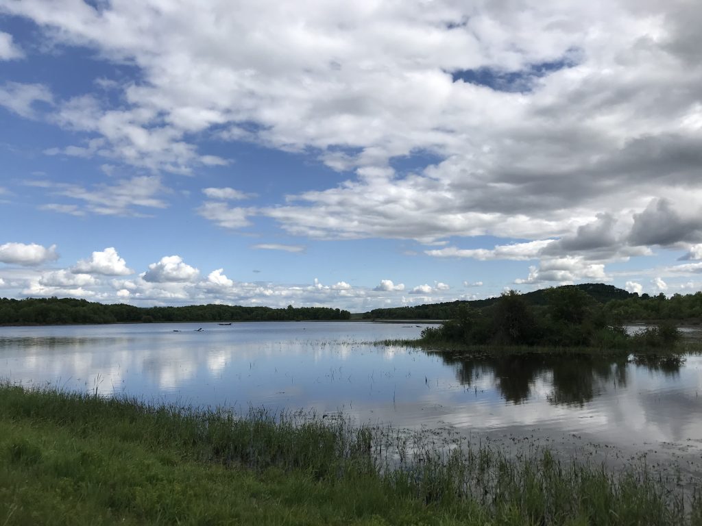 My site: William L. Finley National Wildlife Refuge - Environment for the Americas