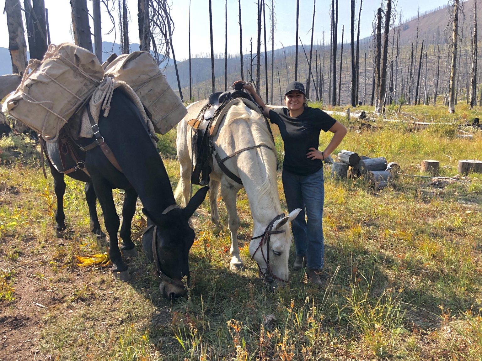 A DAY IN FOREST SERVICE LAW ENFORCEMENT - Environment for the Americas