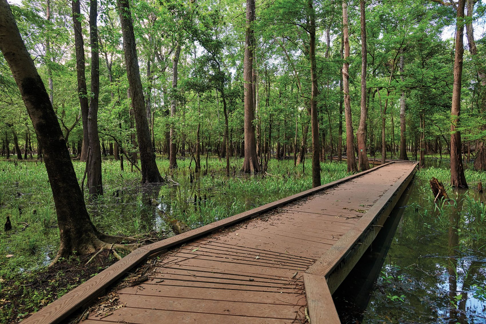A Day in the Life of an Intern at Trinity River NWR - Environment for ...