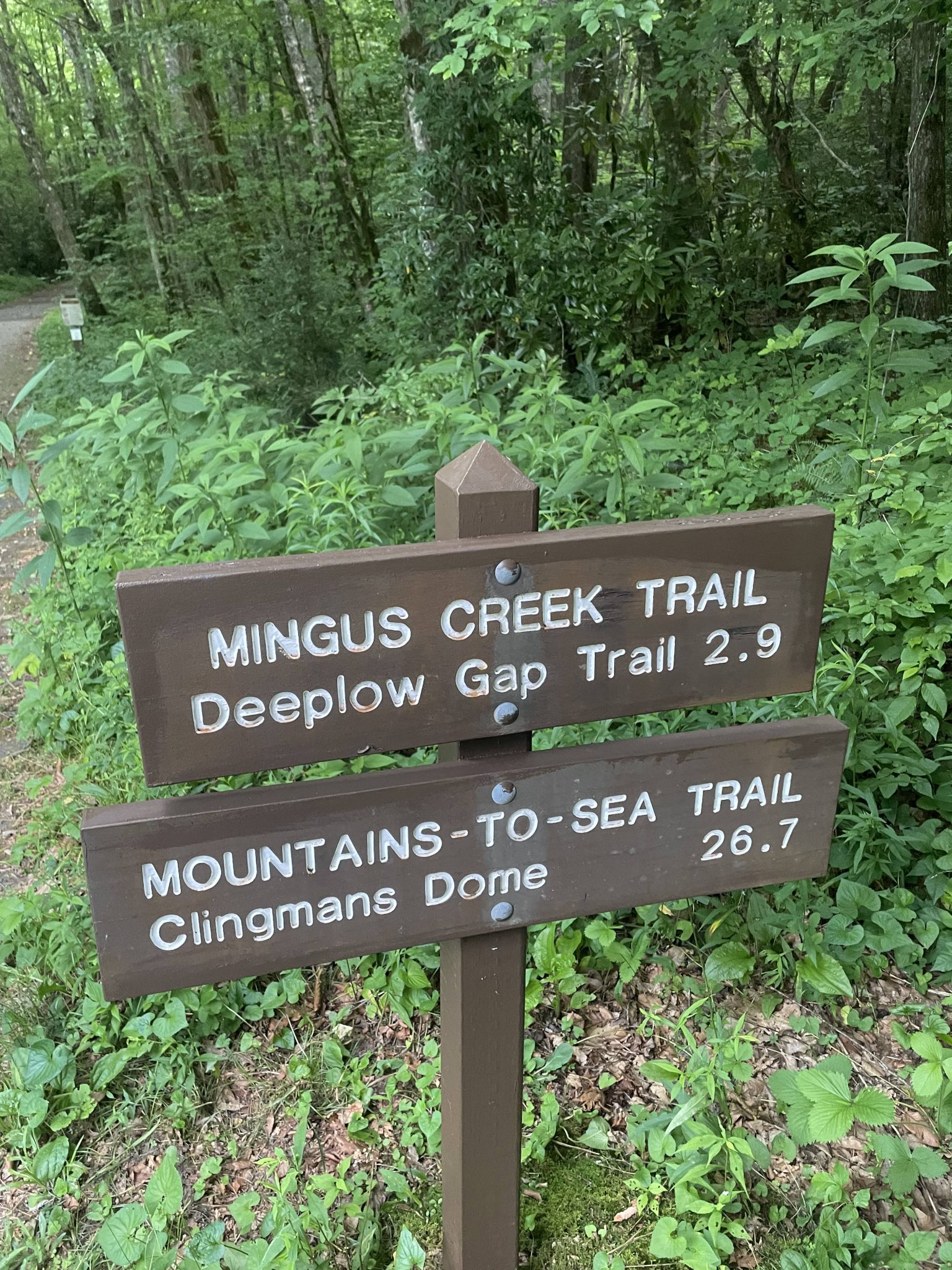Mingus Mill Creek Trail - Environment for the Americas