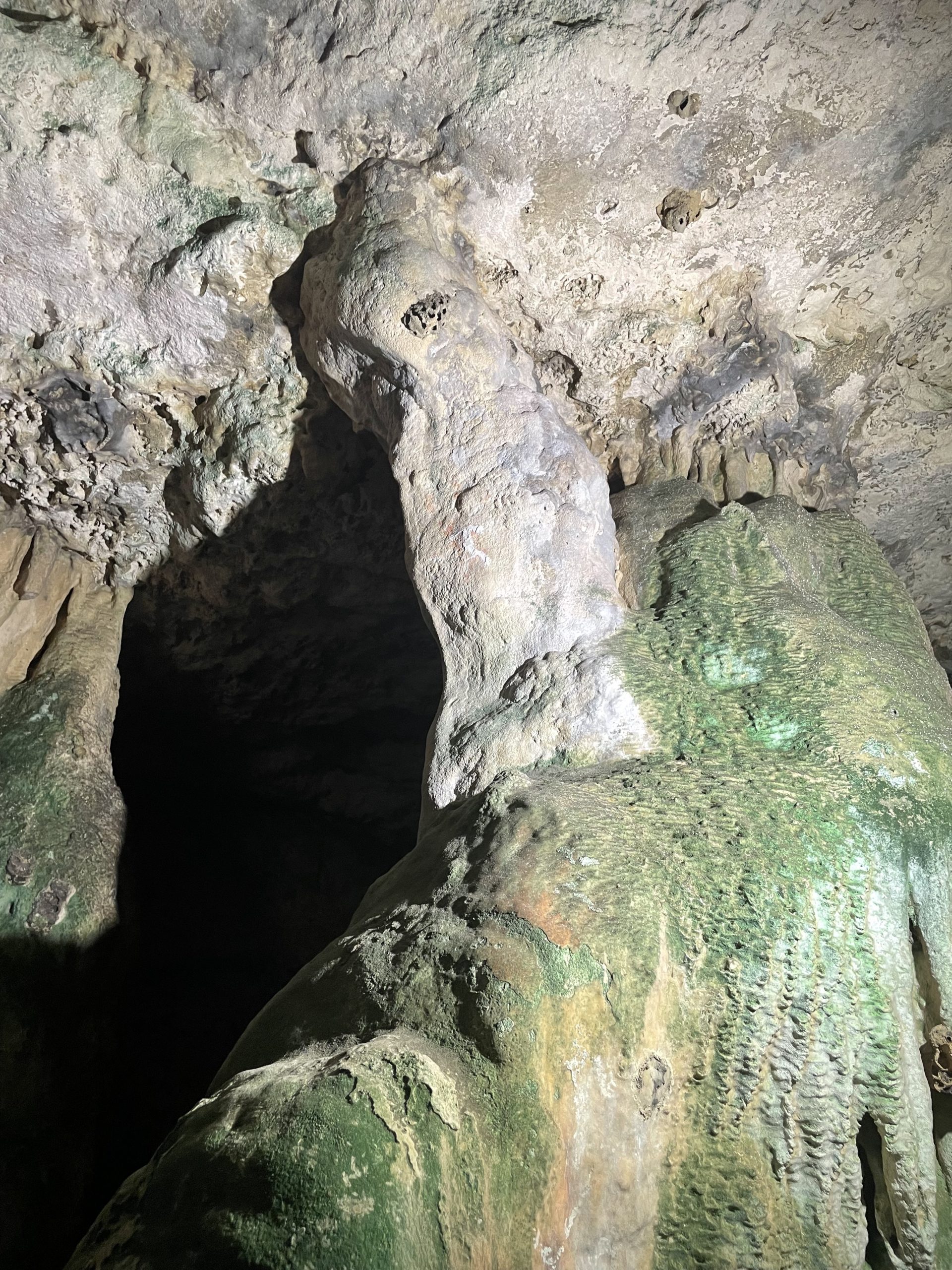 Journey to the Center of the Limestone Forest - Environment for the ...