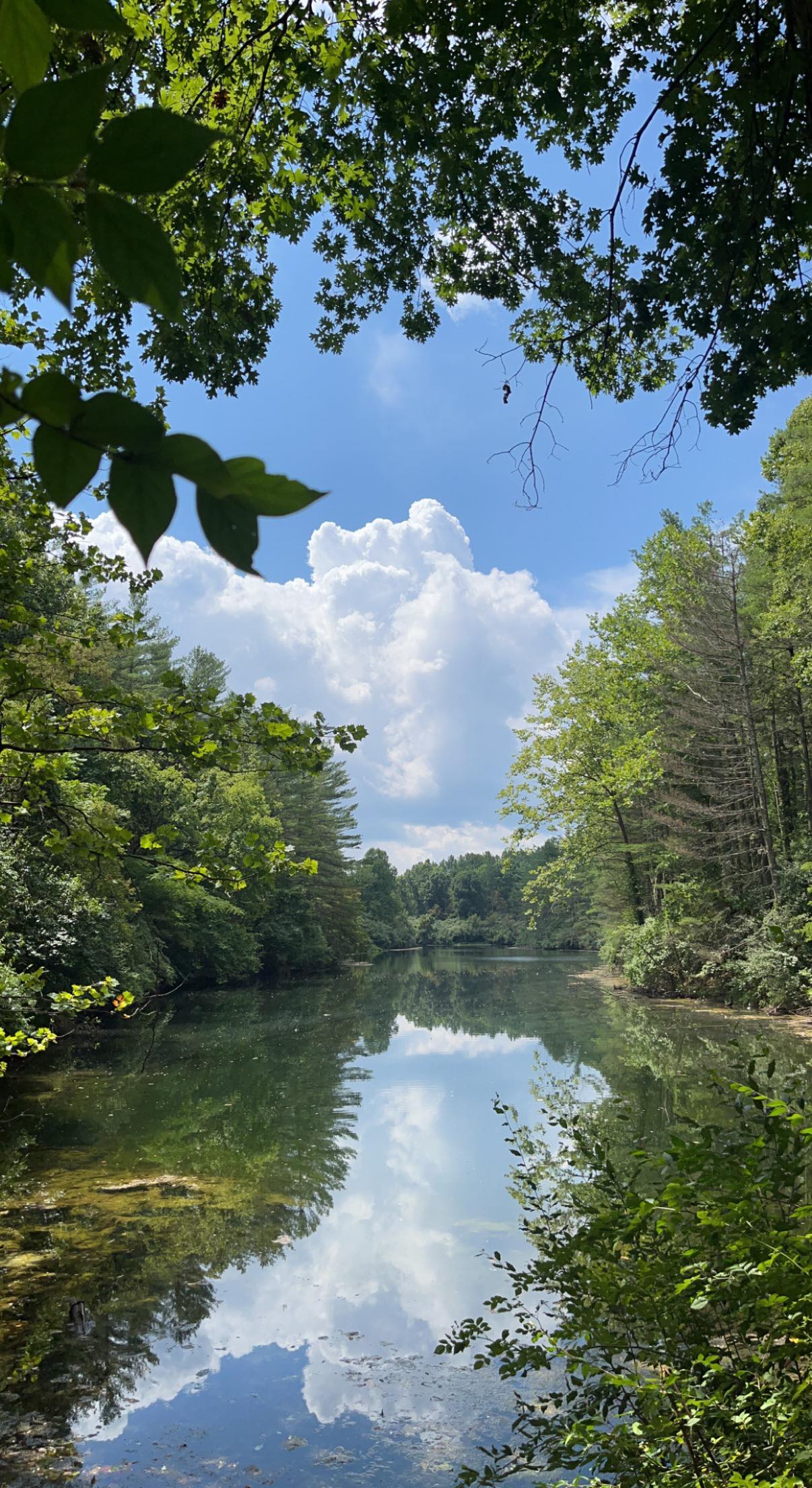 Behind the Wayne National Forest - Marissa Hurst - Environment for the ...