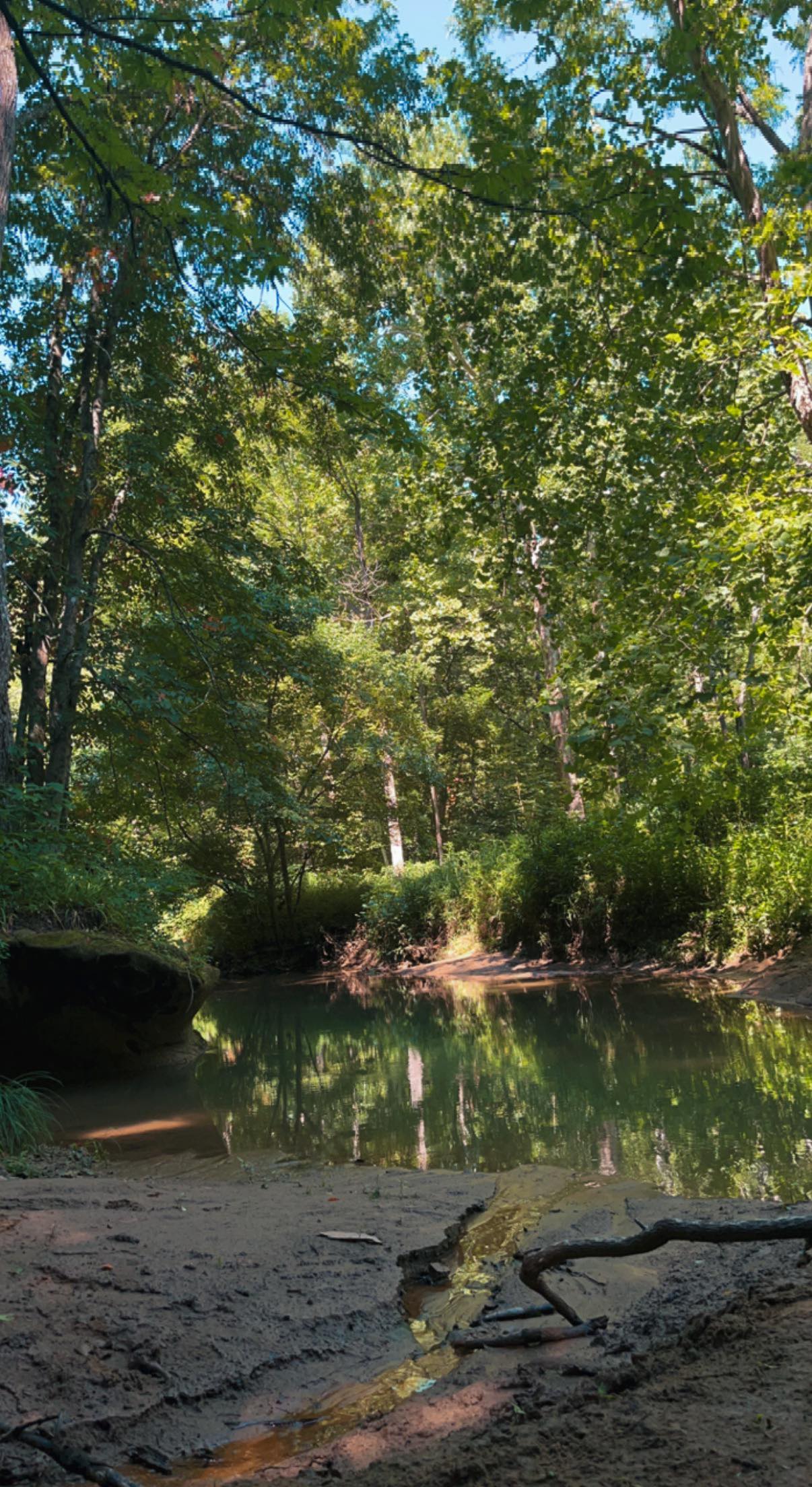 Environment for the Americas | Behind the Wayne National Forest ...