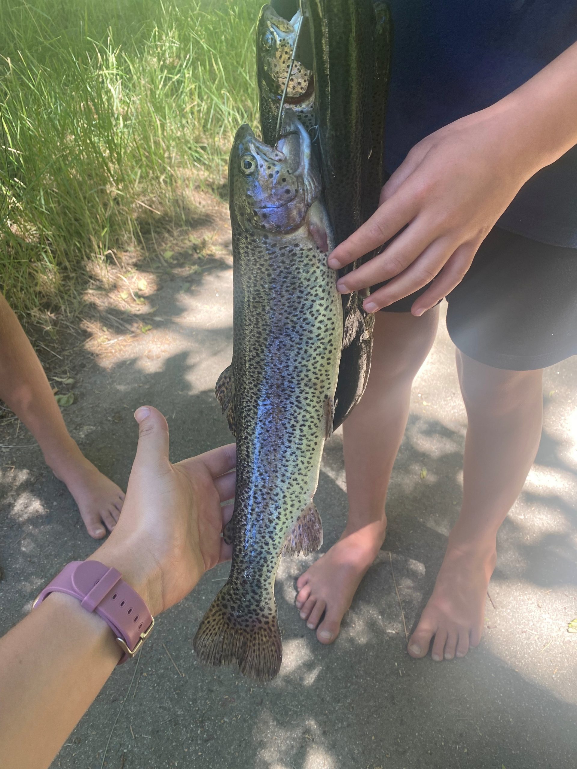 A DAY IN THE LIFE OF AN LAW ENFORCEMENT INTERN - Environment for the ...