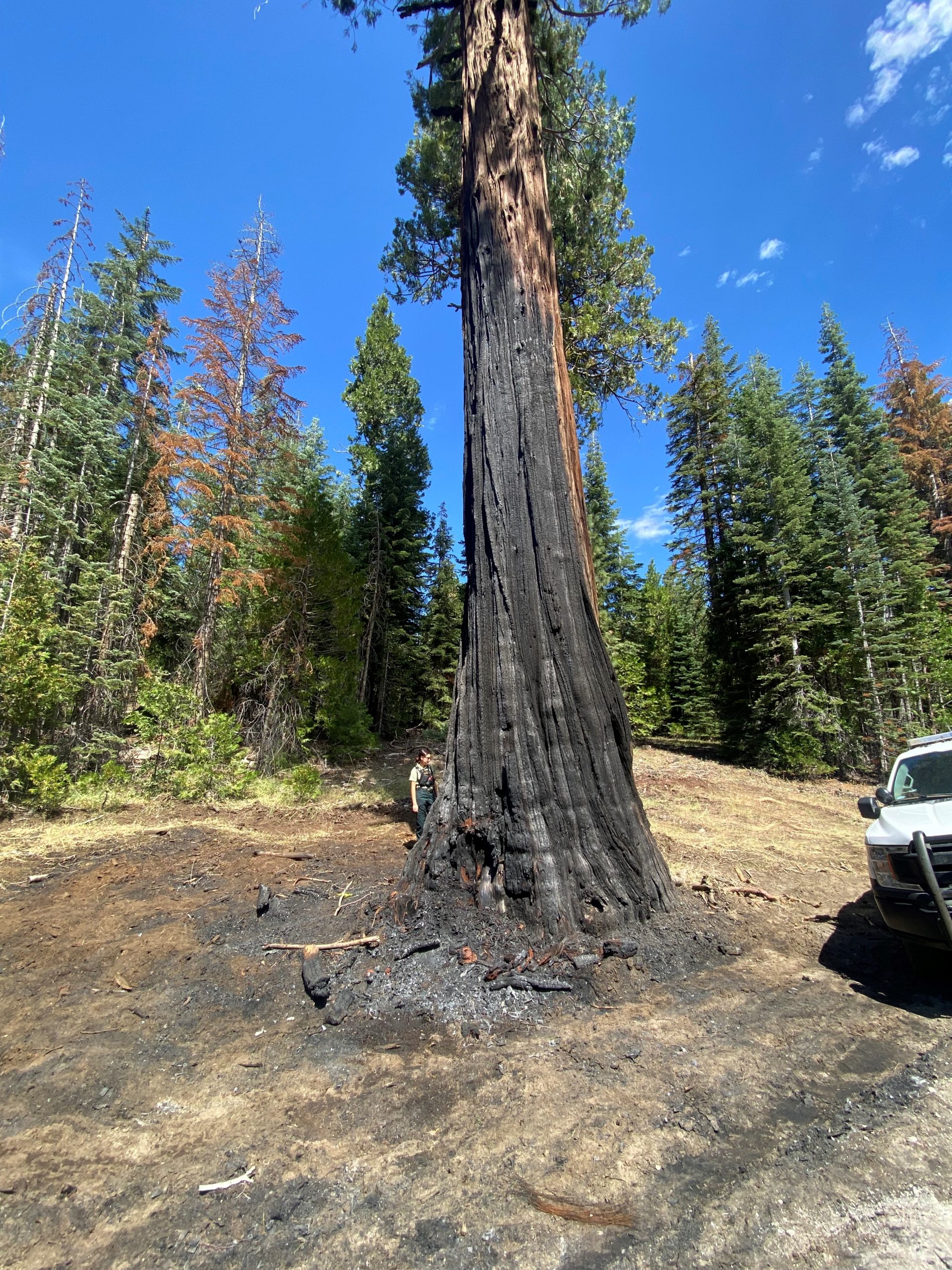 A DAY IN THE LIFE OF AN LAW ENFORCEMENT INTERN - Environment for the ...