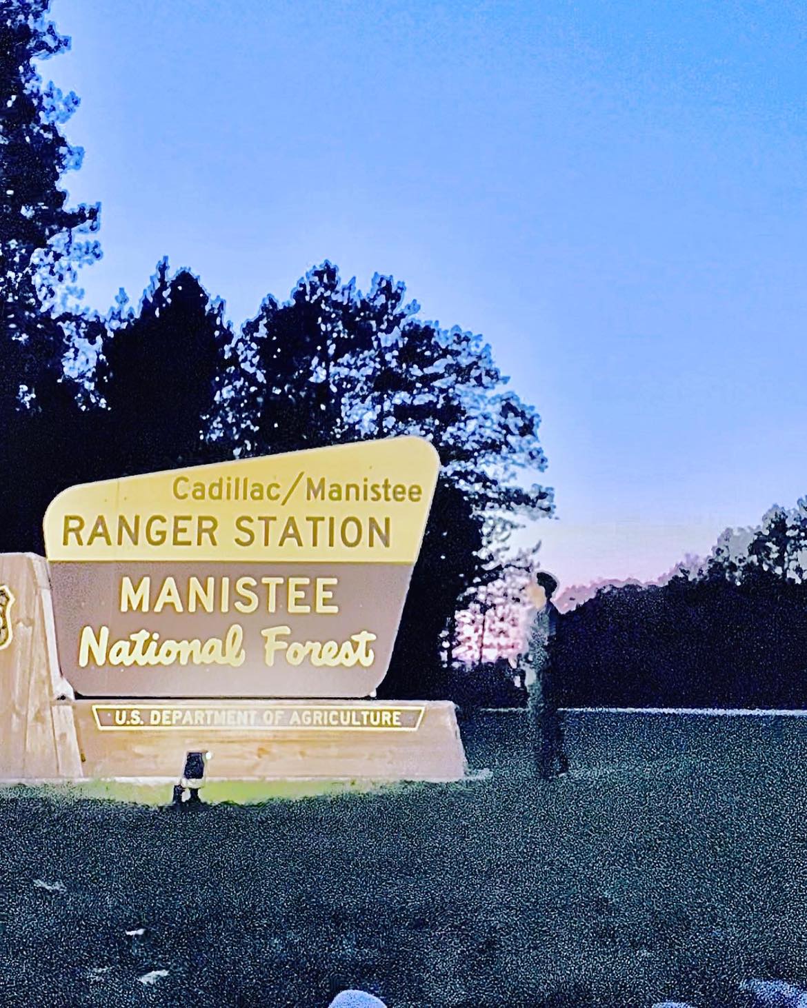 The Beautiful Huron-Manistee National Forest - Environment for the Americas