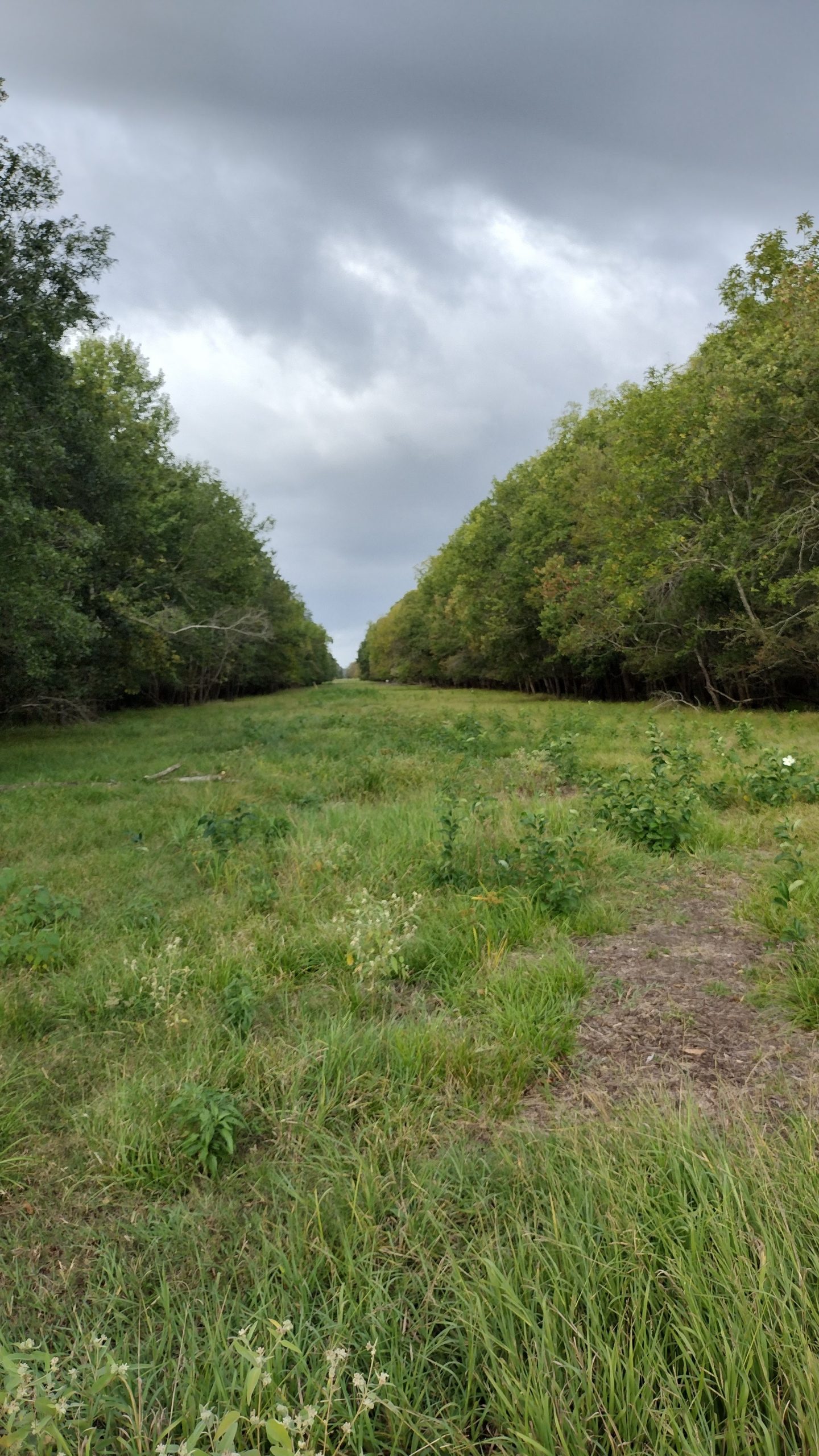 Get to Know Trinity River National Wildlife Refuge - Environment for ...