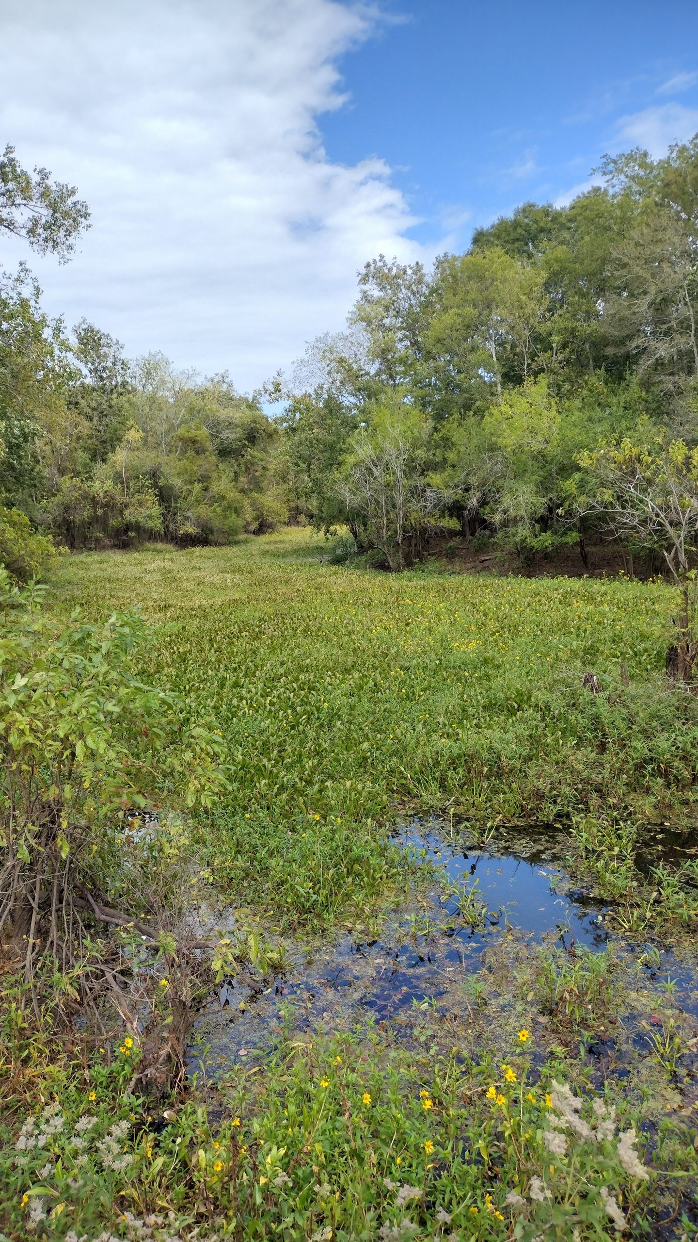 Get to Know Trinity River National Wildlife Refuge - Environment for ...