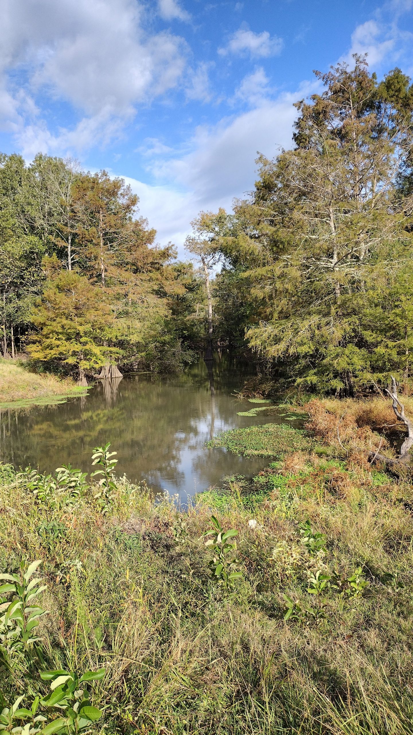 Get to Know Trinity River National Wildlife Refuge - Environment for ...