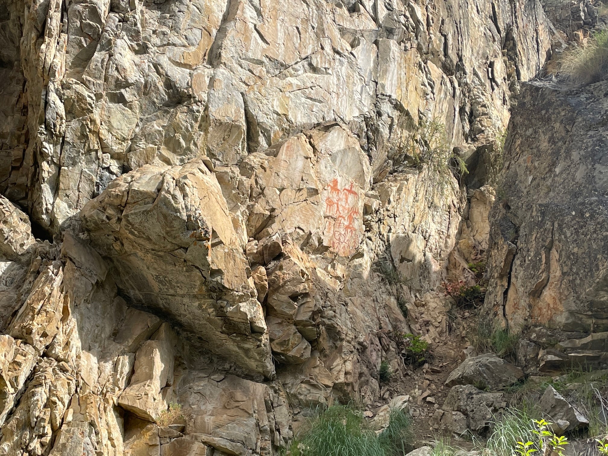 All in a day's work on a Salmon River jetboat ride! - Environment for ...