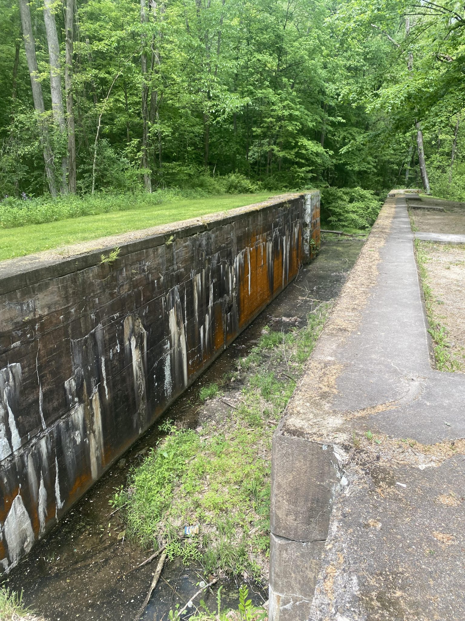 Summer in the Cuyahoga Valley National Park - Environment for the Americas