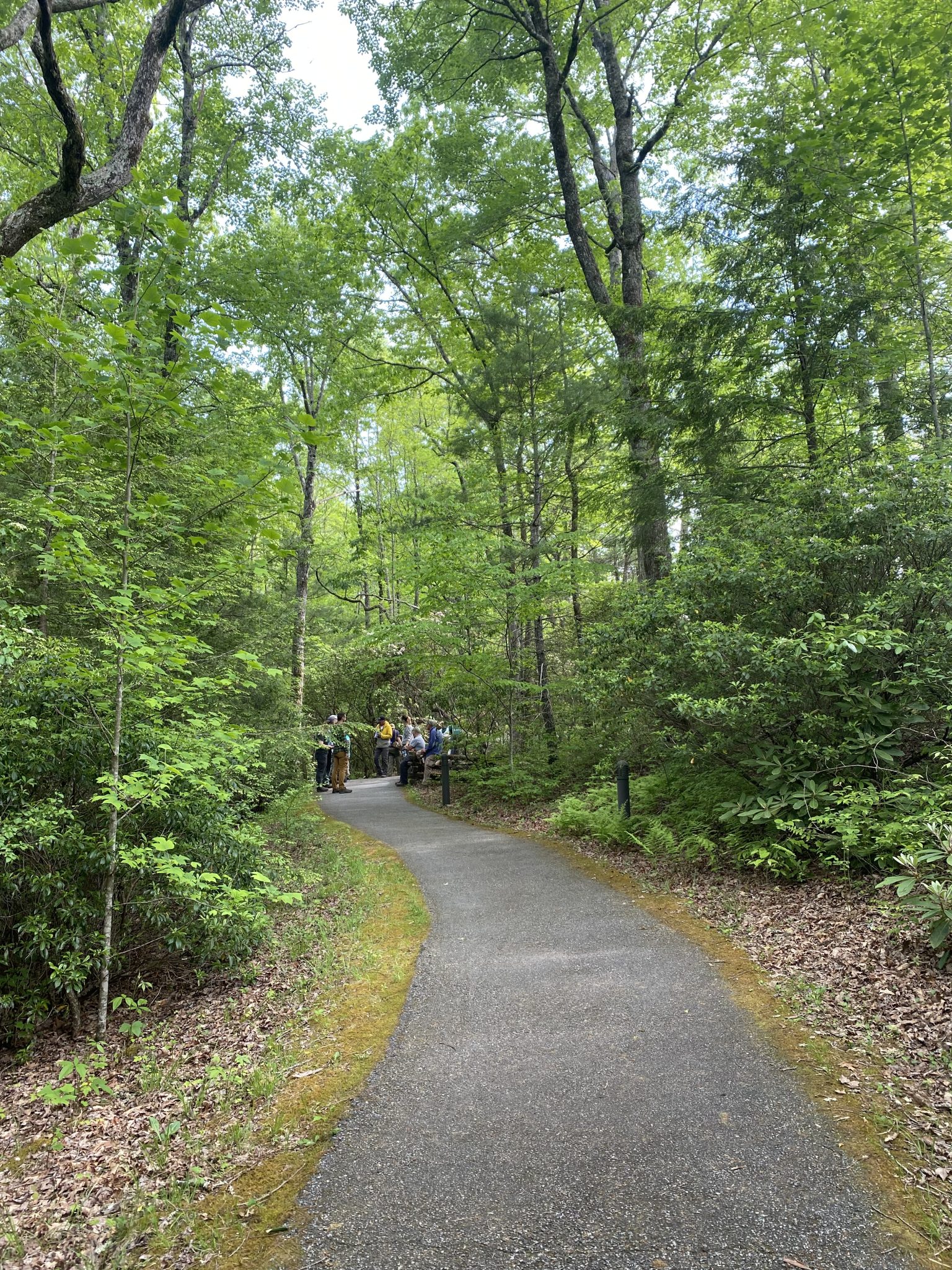 Introduction to the Park and Me - Environment for the Americas