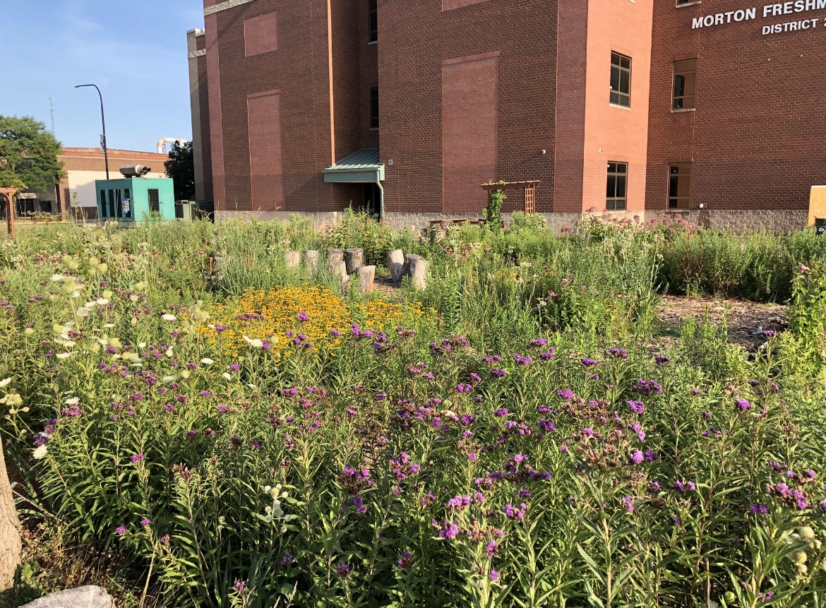 The Bigger Picture - Environment for the Americas