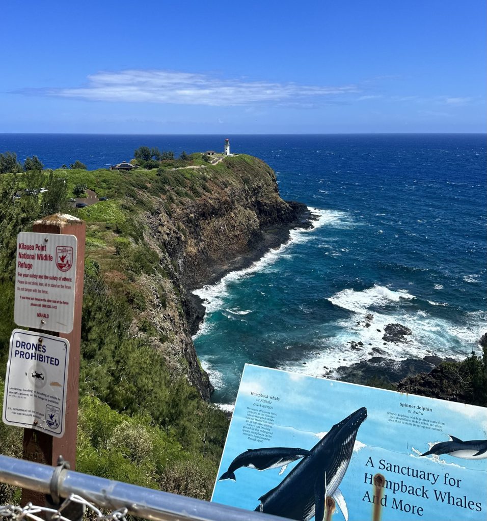 Looking Back to Move Foward - Environment for the Americas