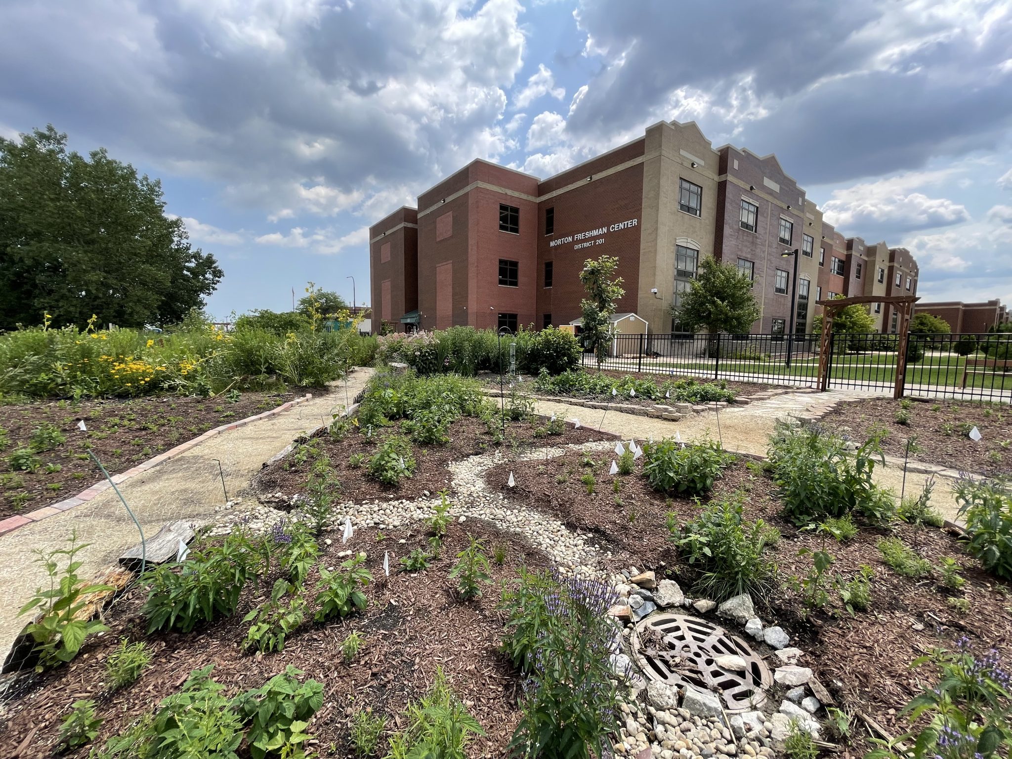 Time Flies! - Environment for the Americas