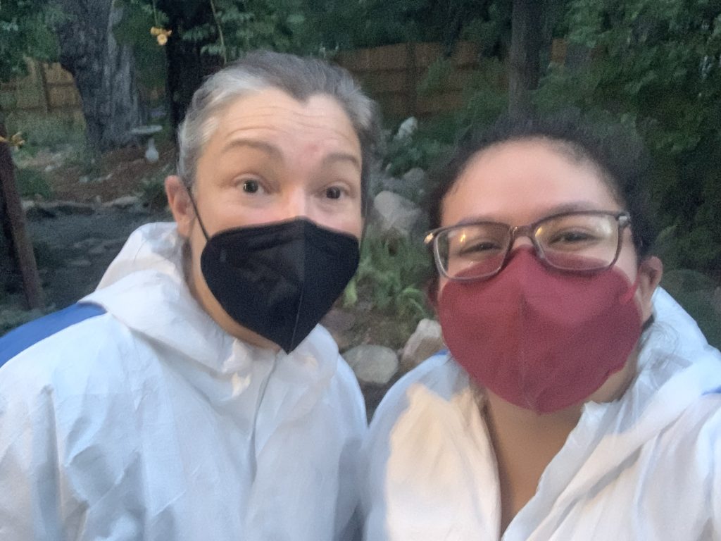 Unveiling Nocturnal Mysteries: Adventures in Bat Banding and Research ...