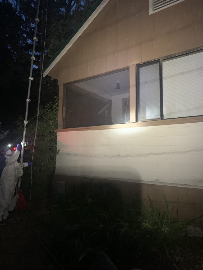 Unveiling Nocturnal Mysteries: Adventures in Bat Banding and Research ...