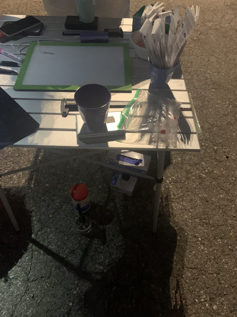 Unveiling Nocturnal Mysteries: Adventures in Bat Banding and Research ...