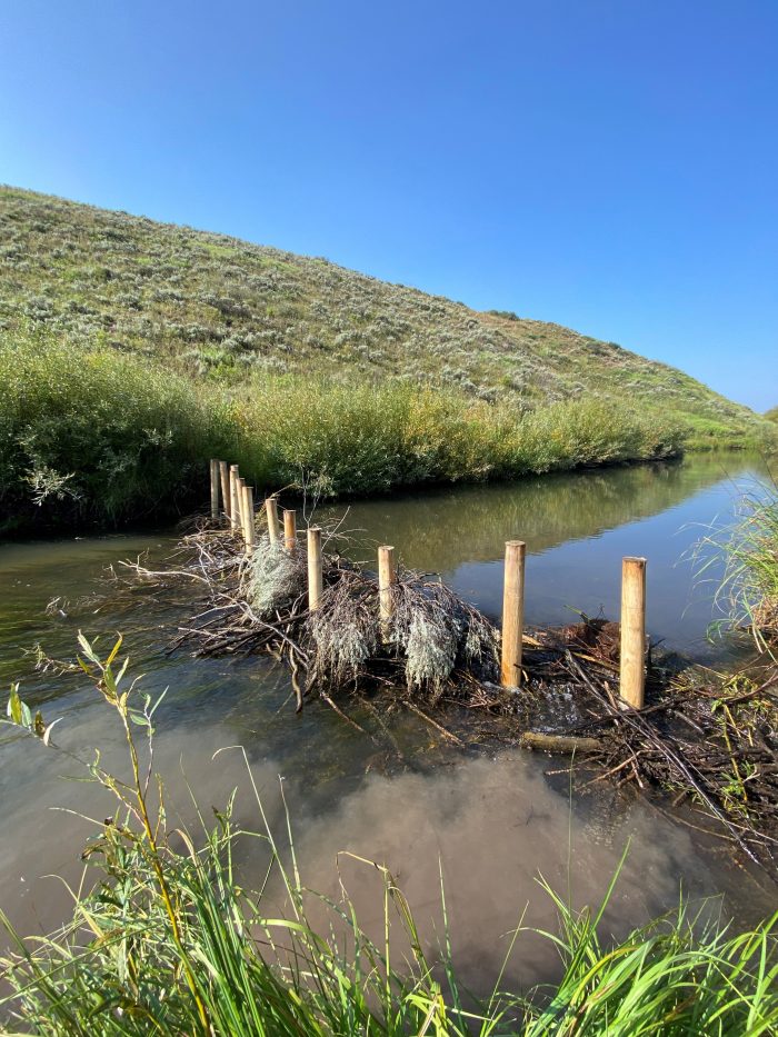 Building Beaver Dam Analogs - Environment for the Americas