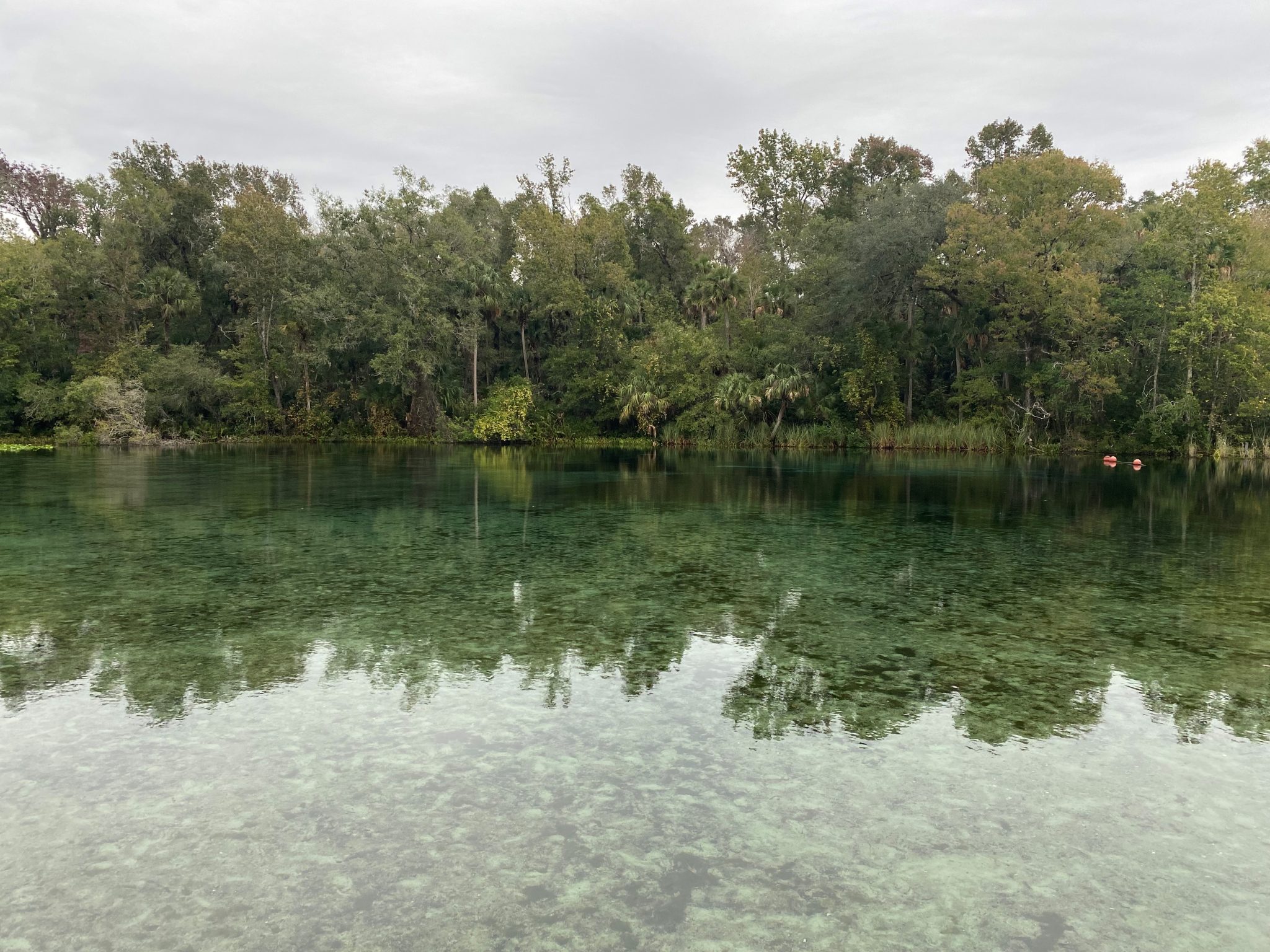 Mission to the Ocala NF in Florida - Environment for the Americas