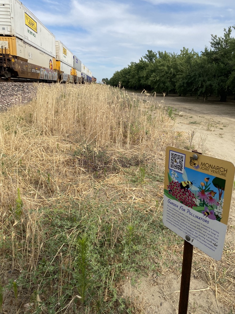 Field Work Adventures - Environment for the Americas