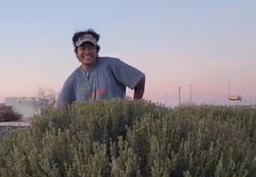 Resource Assistants Program - Environment for the Americas