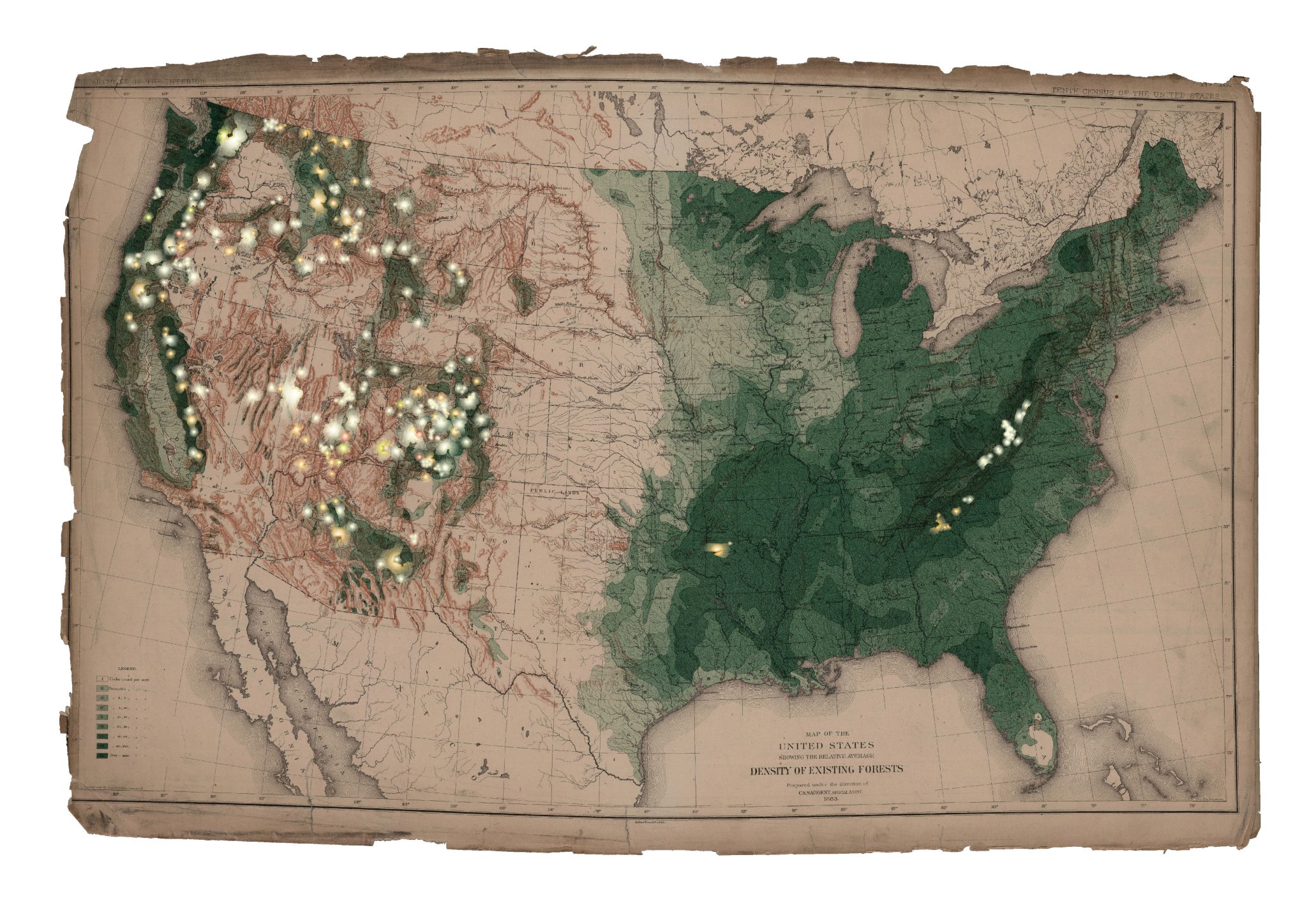 Usa Forest Map Old Growth Forests – The Howard Falls Trust