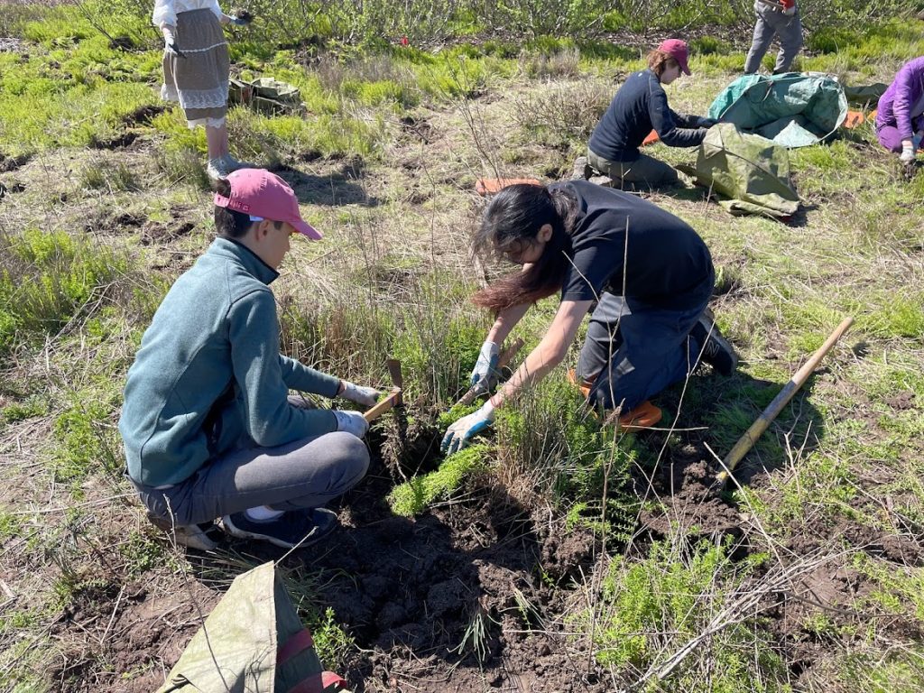 Native? Invasive? They're just plants! - Environment for the Americas