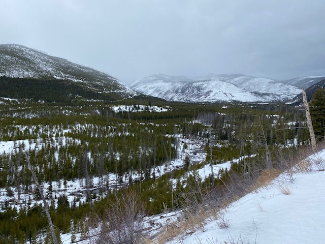 A Day of Winter Carnivore Tracking – Copper Canyon – Lincoln Ranger ...