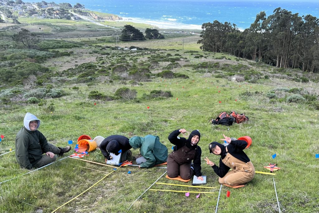 Springtime Festivities in the GGNRA by Angie Wu - Environment for the ...