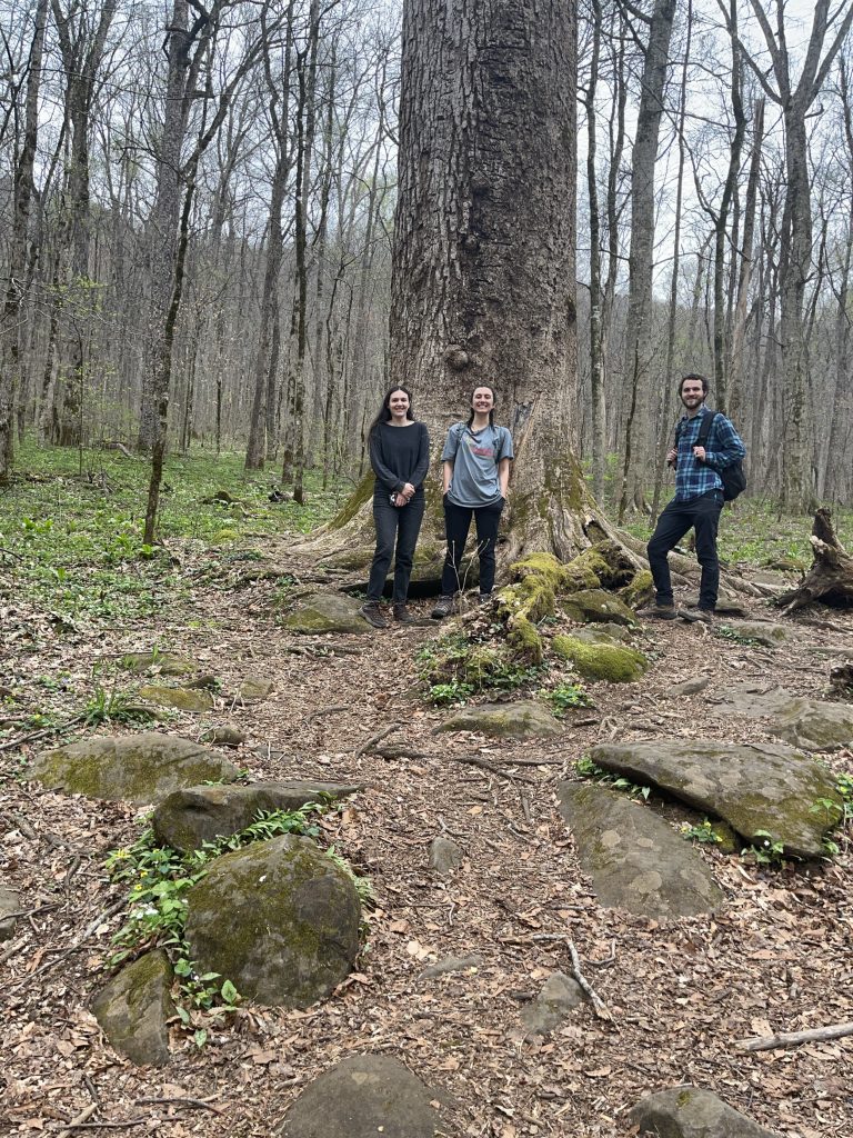 NEPA Team Field Day – Joyce Kilmer Memorial Forest Edition ...