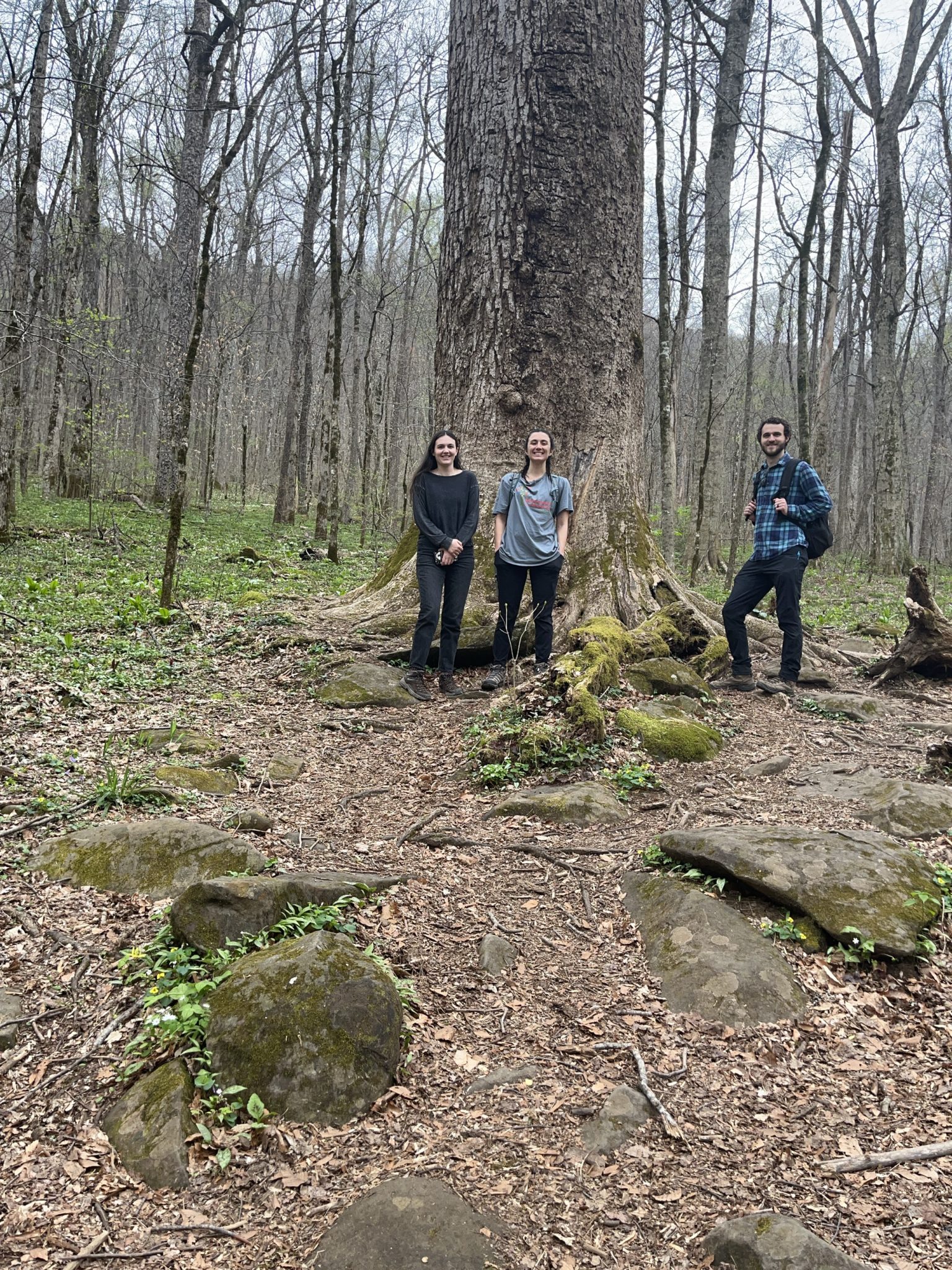 NEPA Team Field Day – Joyce Kilmer Memorial Forest Edition ...