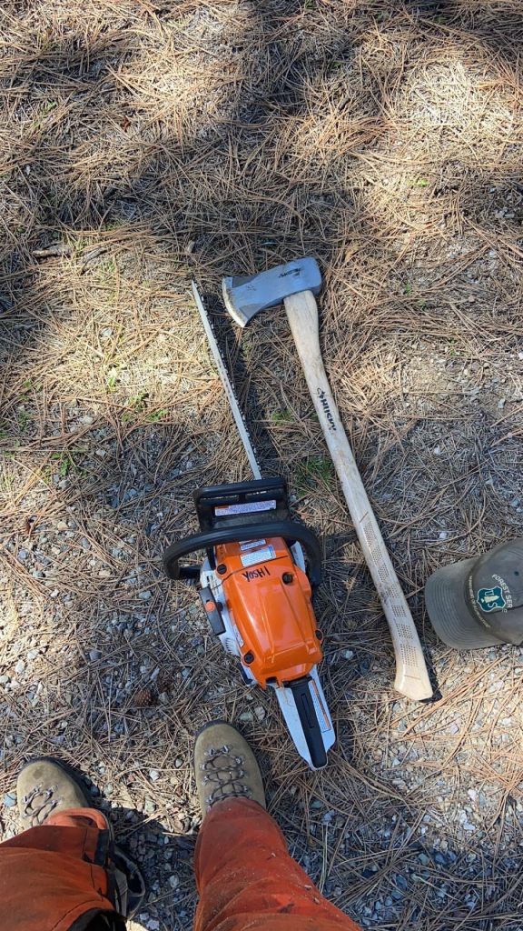 Hazard Trees and Spring Breeze - Environment for the Americas