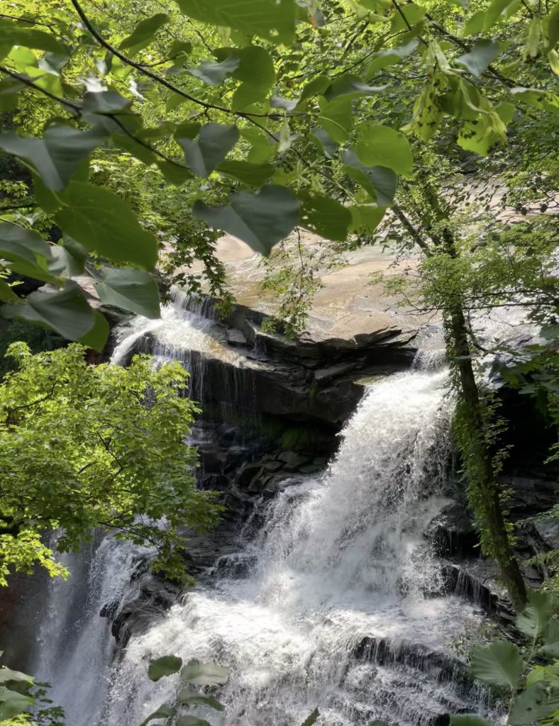 Natalie Keating - Fish and Feathers Intern Introduction - Environment ...