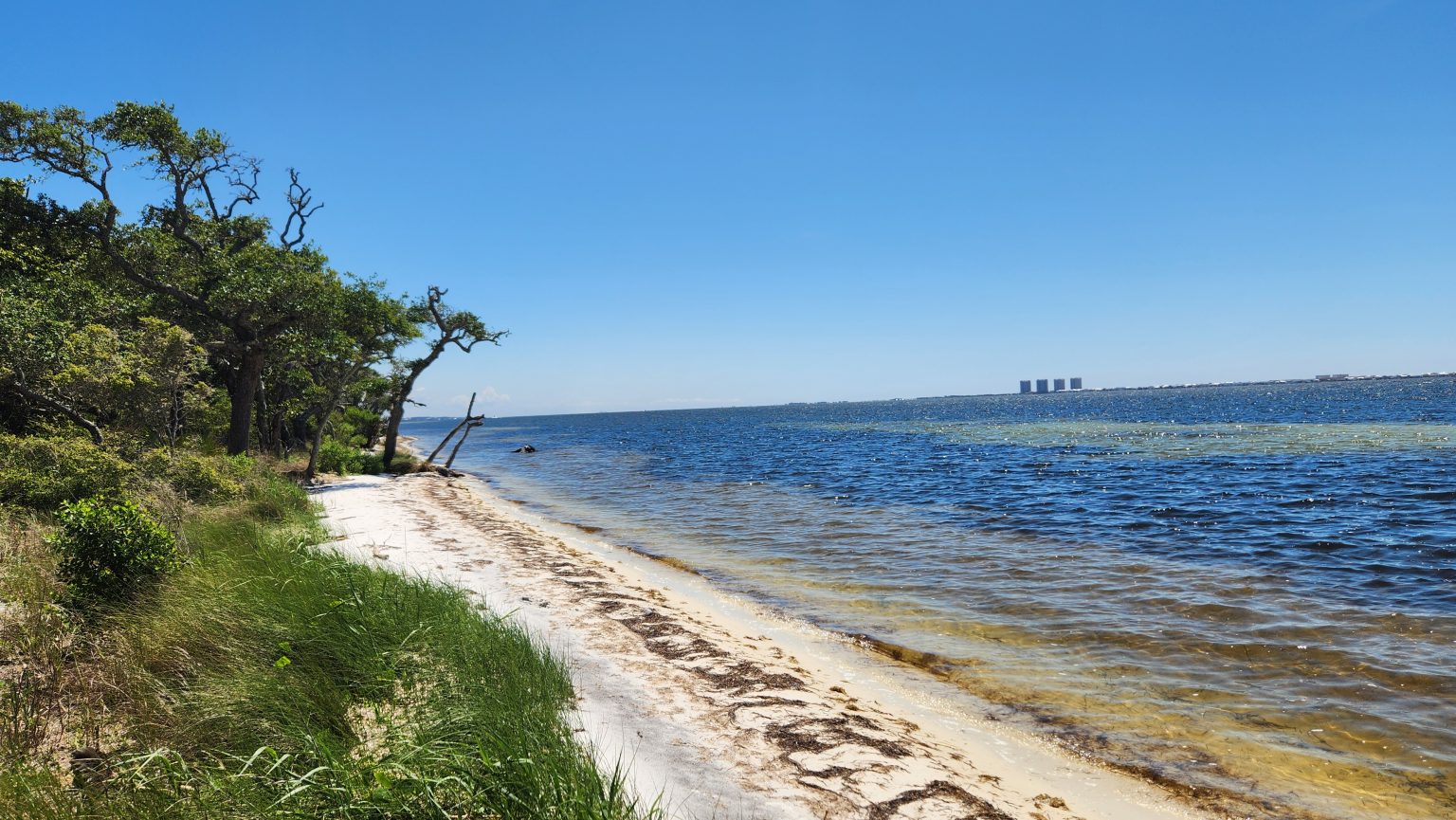 Exploring a Seaside Fort - Environment for the Americas