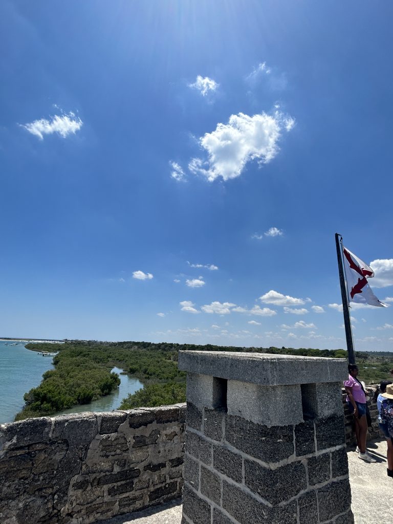 All About the Fort! - Environment for the Americas