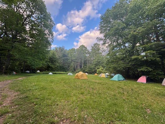 WSI aka Adult Summer Camp - Environment for the Americas