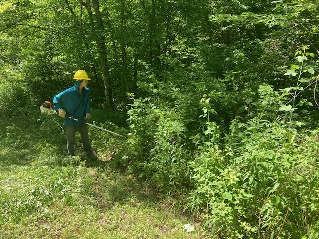 WSI aka Adult Summer Camp - Environment for the Americas