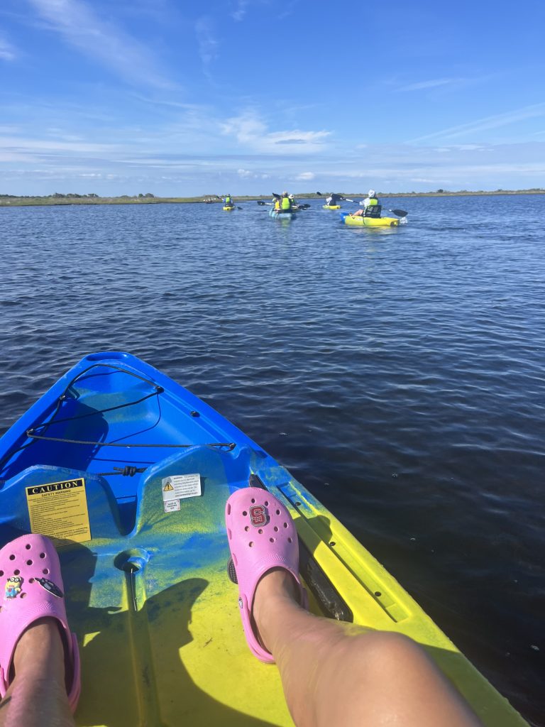 Kayaks, Turtles, and Bird nests! - Environment for the Americas