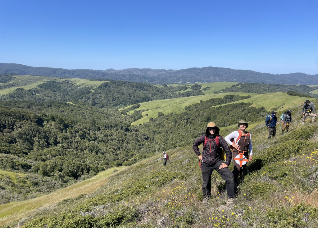 Rare Plant Monitoring: Fun with Flowers and Friends - by Angie Wu ...