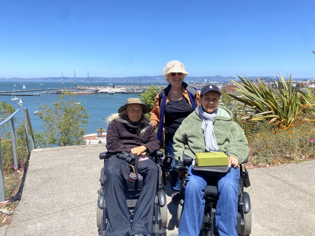 Disabled Community, Disabled Joy - Environment for the Americas