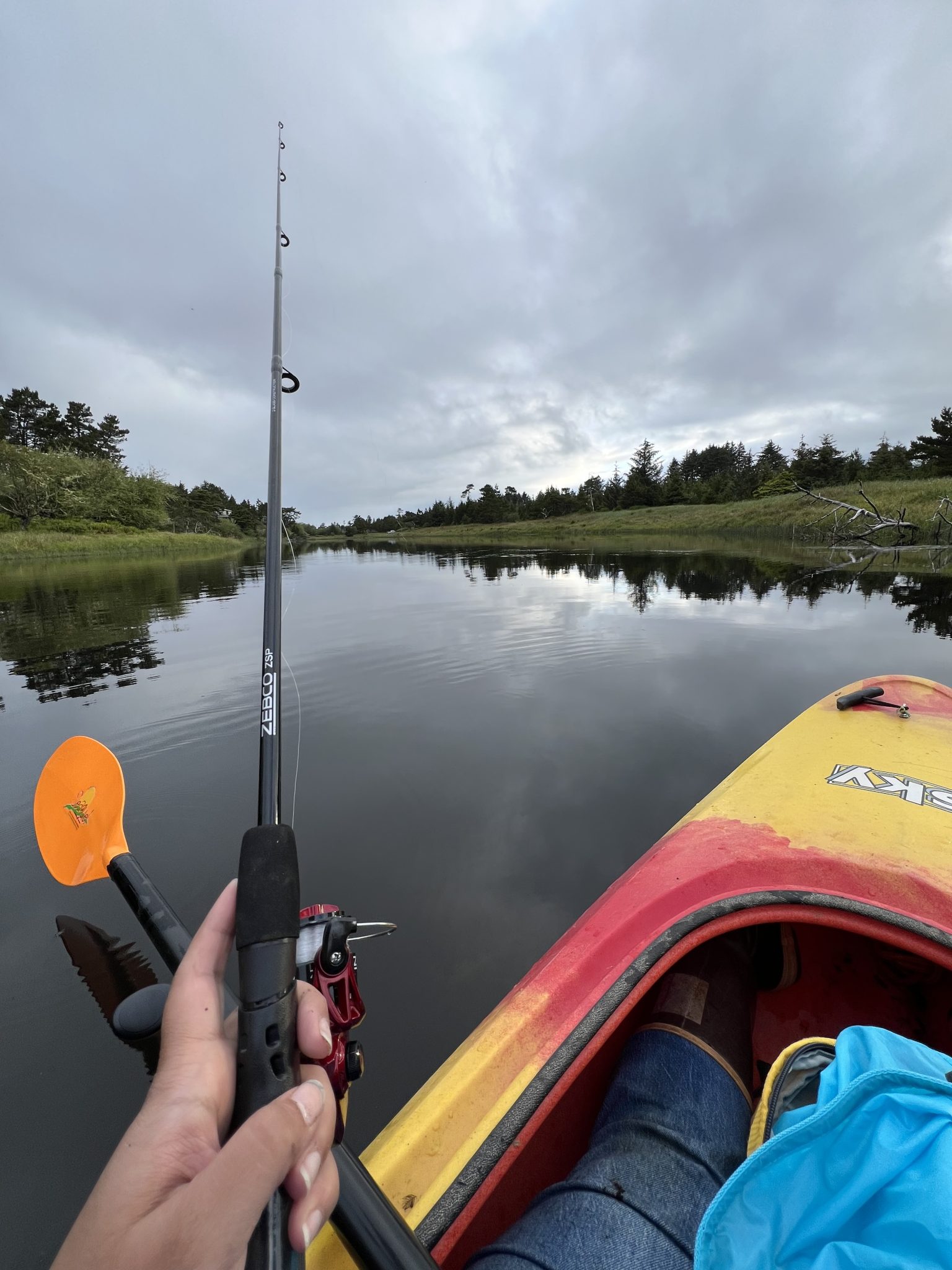 A Splash in the Pond: The Koi & Carp Predicament - Environment for the ...