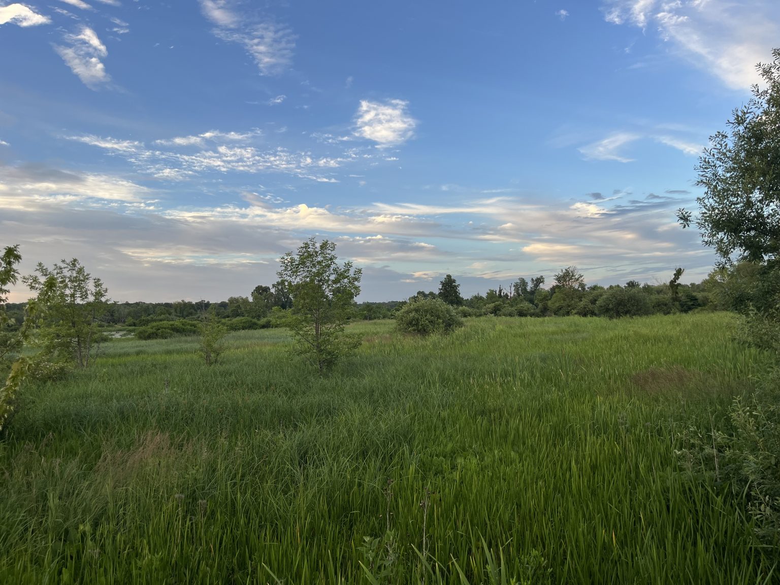 DISCOVERING THE MAGIC OF INDIANA DUNES NATIONAL PARK - Environment for ...