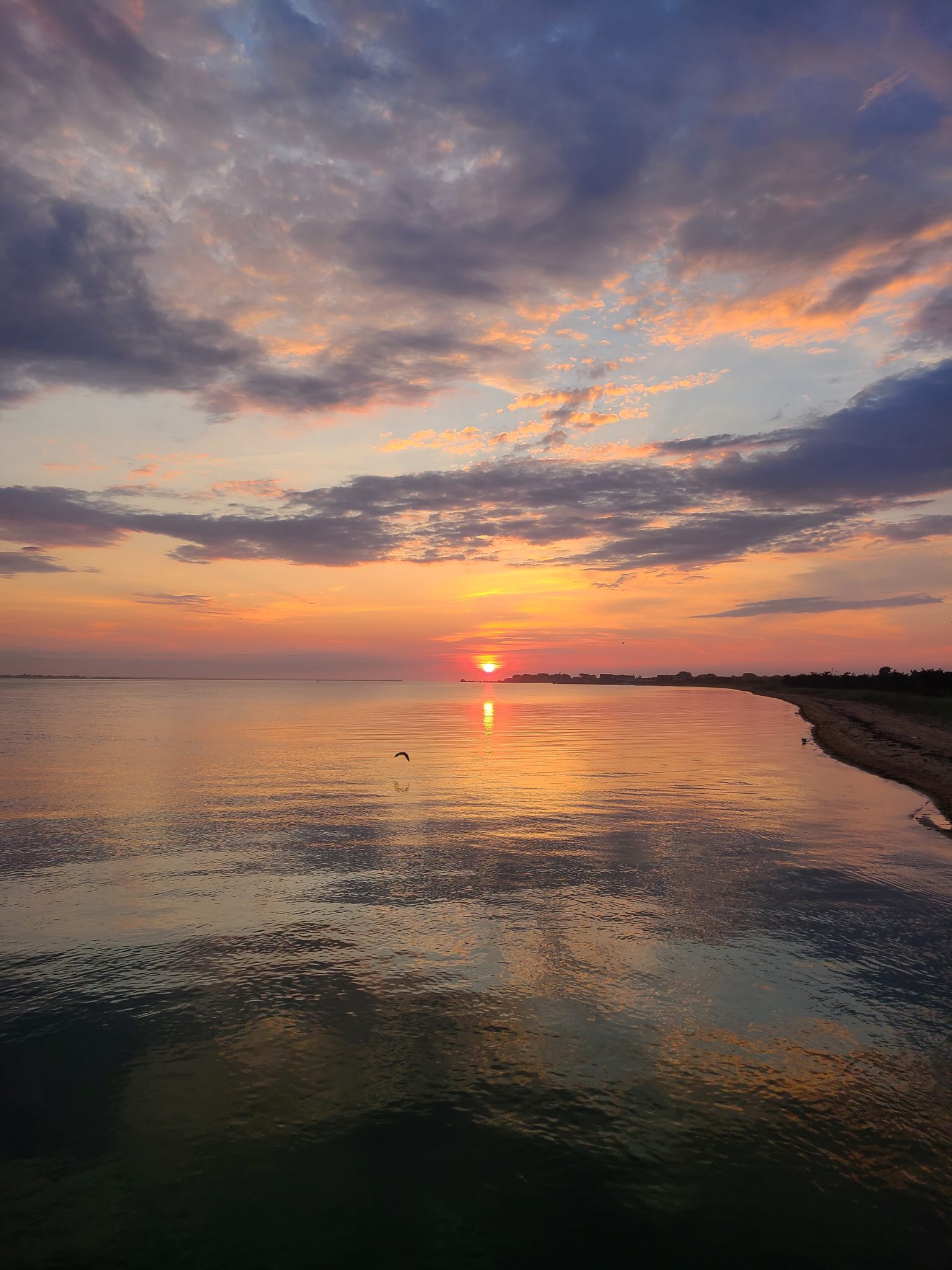 The Audience-Centered Experience - Environment for the Americas