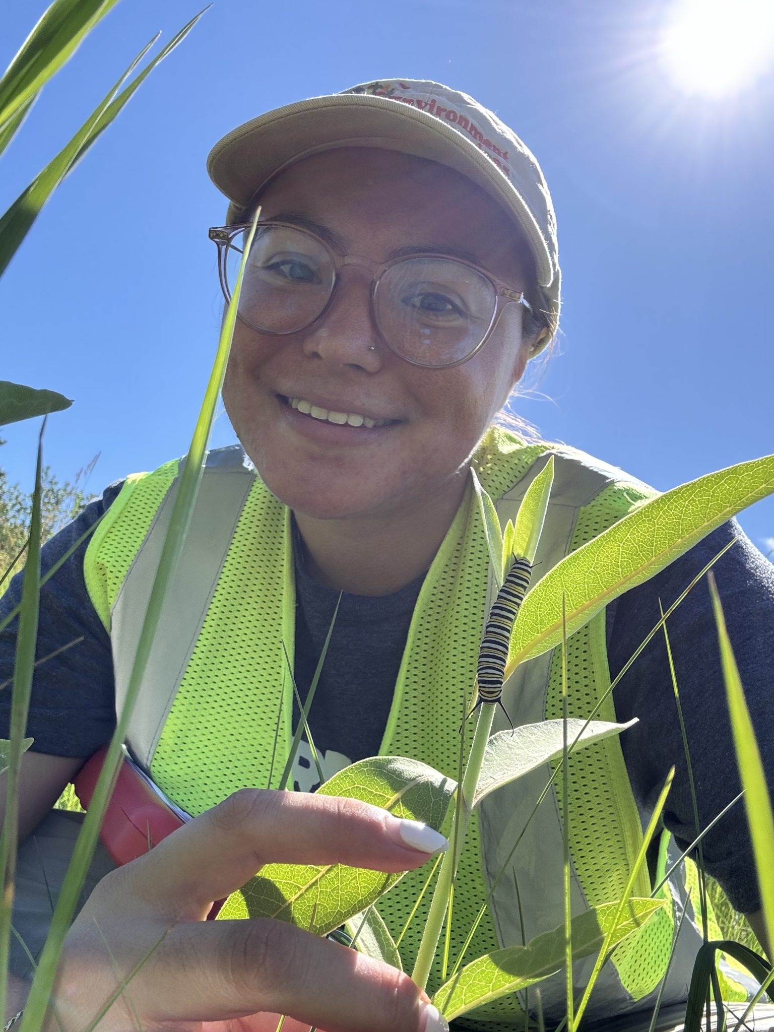 Exploring Minnesota's Monarchs - Environment for the Americas
