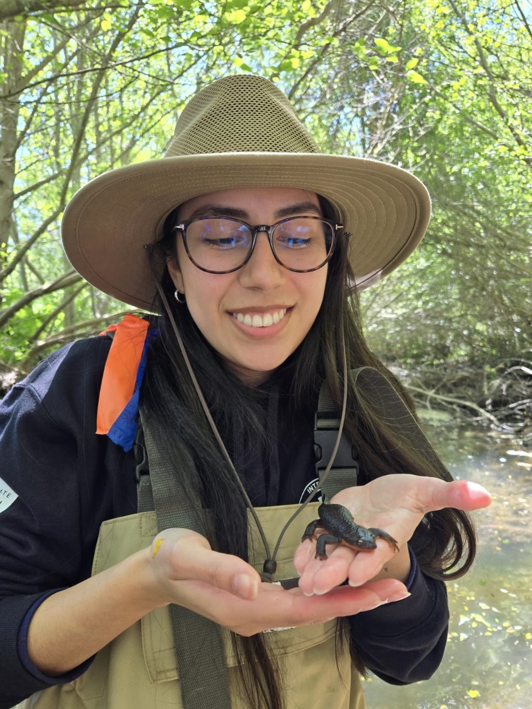What's a smolt? - Environment for the Americas