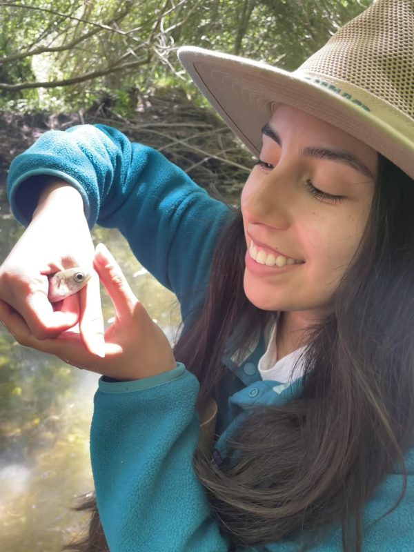 What's a smolt? - Environment for the Americas