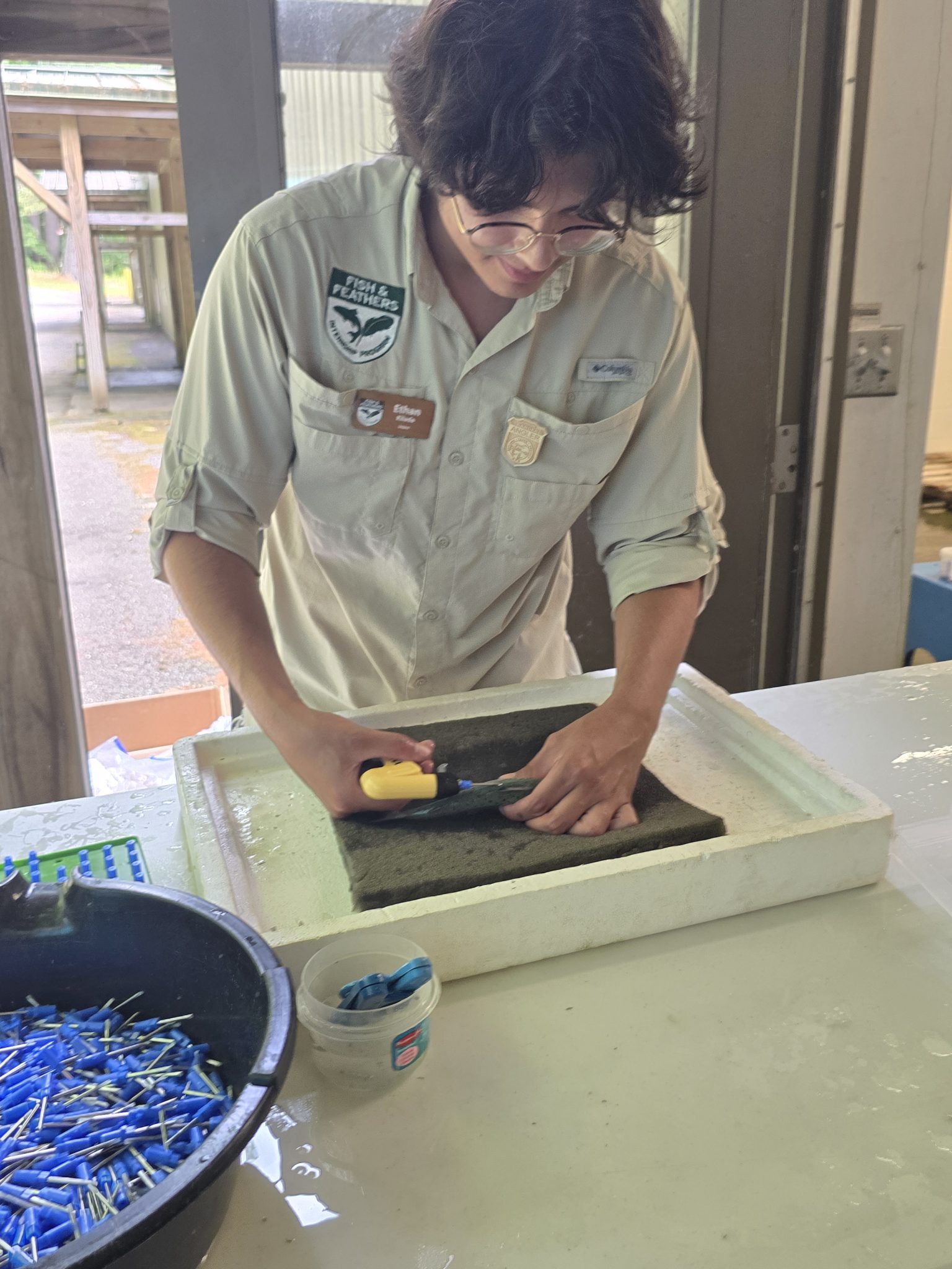 Atlantic Salmon Tagging - Environment for the Americas