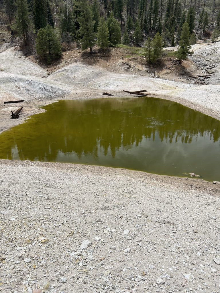 A Small Yellowstone - Environment for the Americas