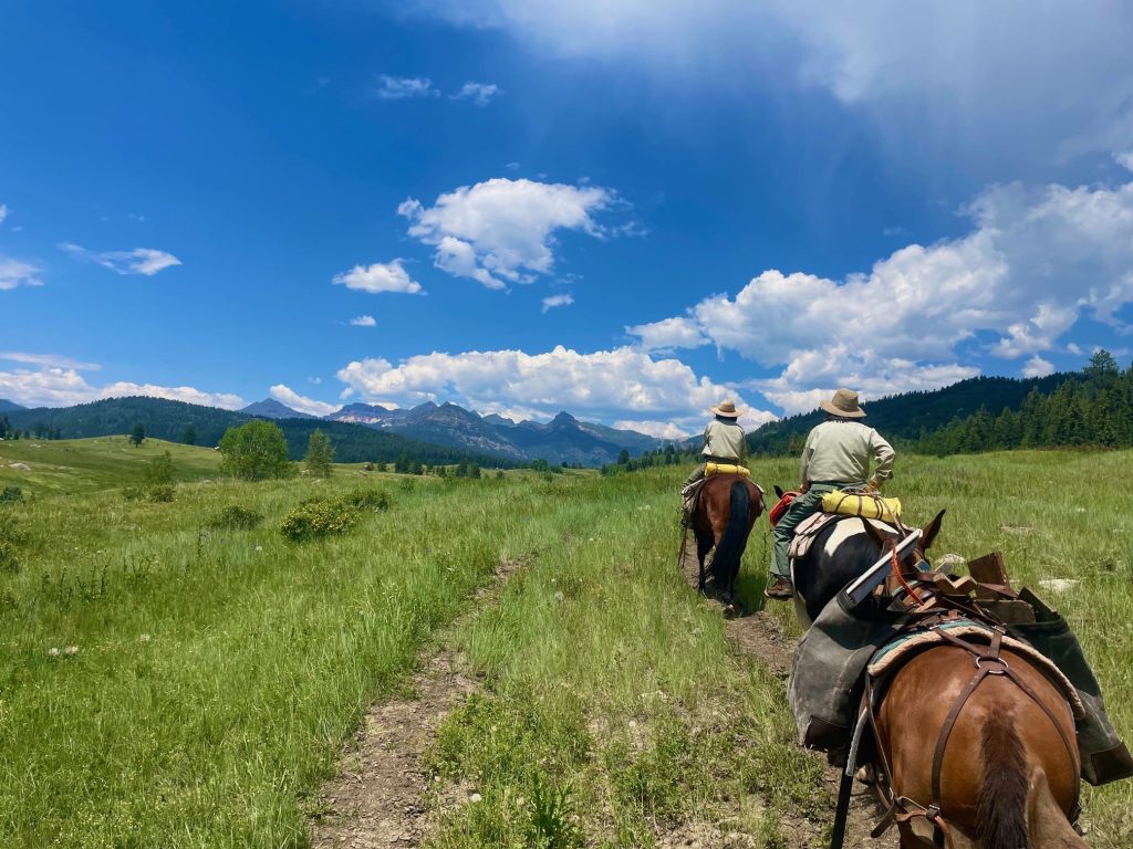 Tips & Tricks: Horse Packing - Environment for the Americas